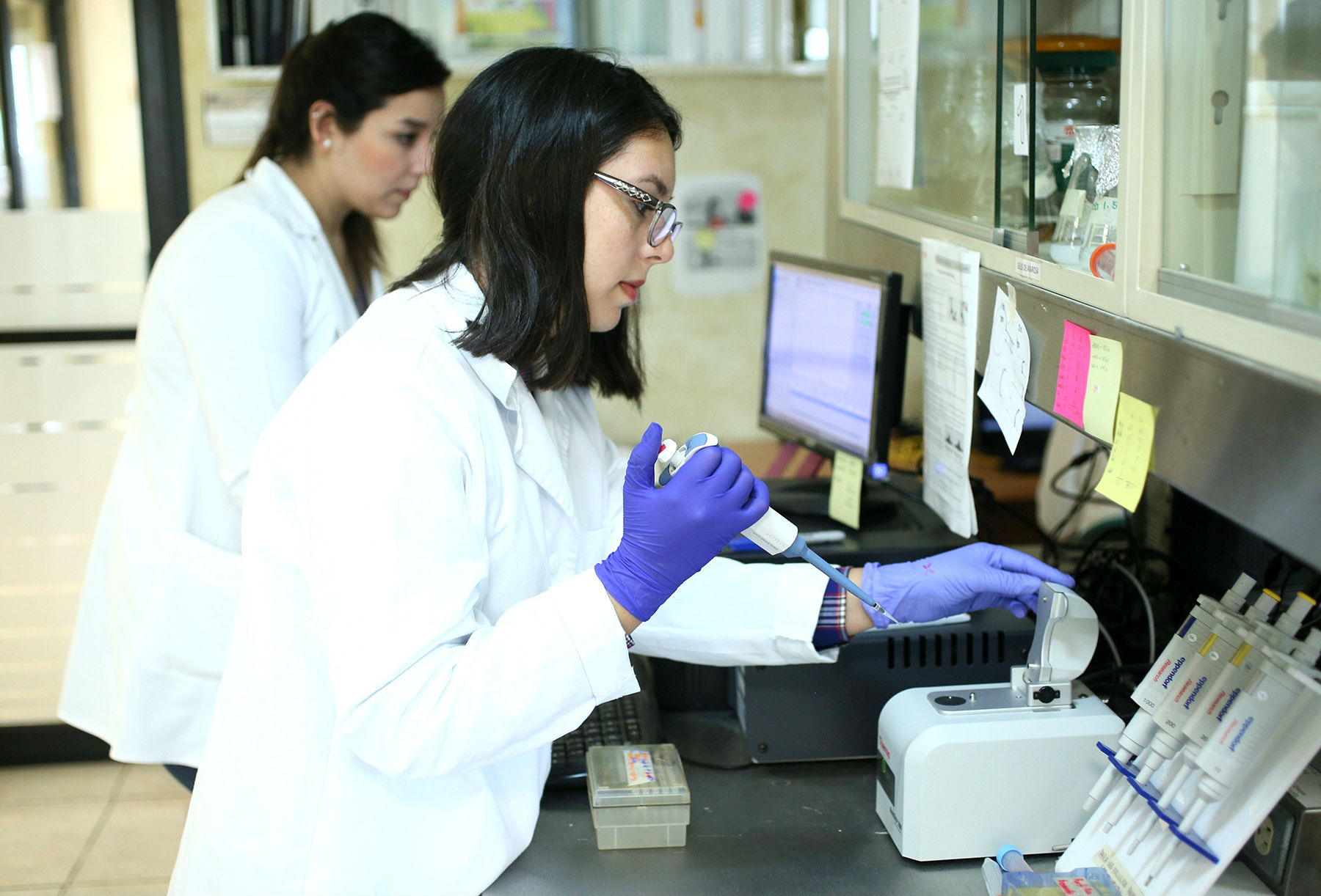 Centro de Investigación en Nutrición y Salud Pública, 10 años ...