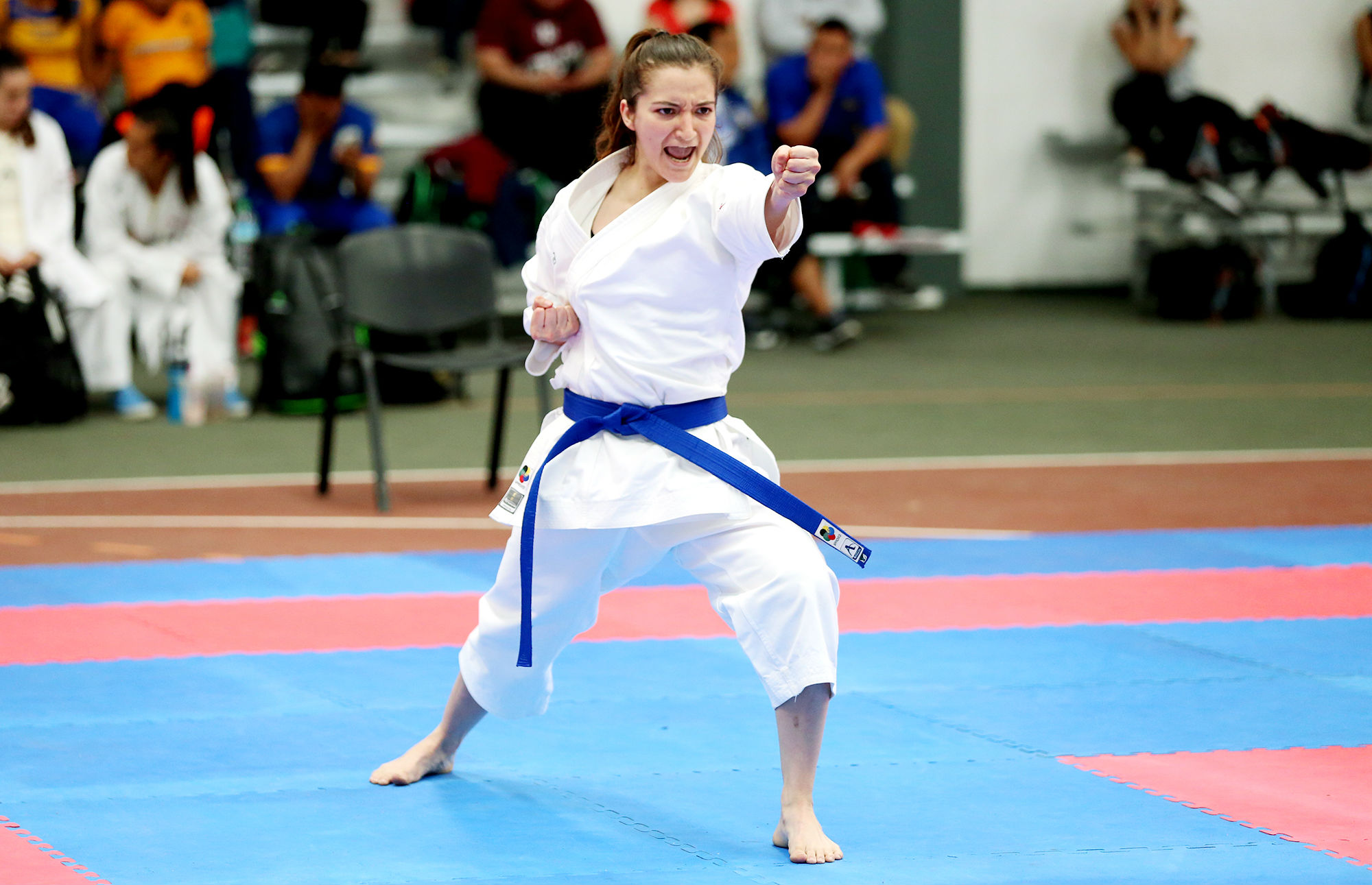 Quieren sumar el título 20 en Karate - Universidad Autónoma de Nuevo León