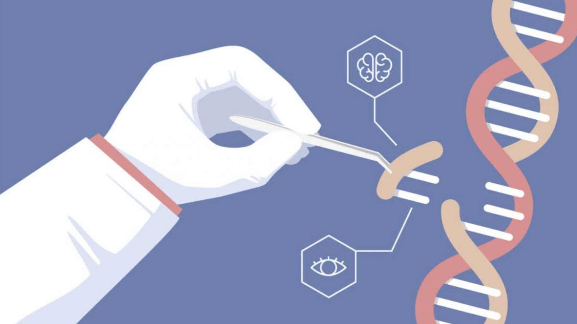 Dialogarán con enfoque multidisciplinario sobre bioética - Universidad ...